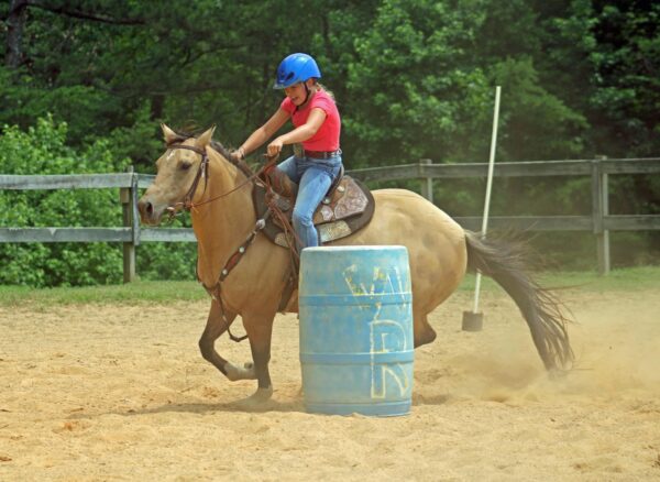 Photo Gallery - Valley View Ranch