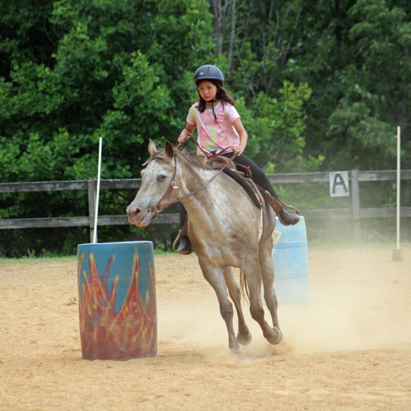 Photo Gallery - Valley View Ranch